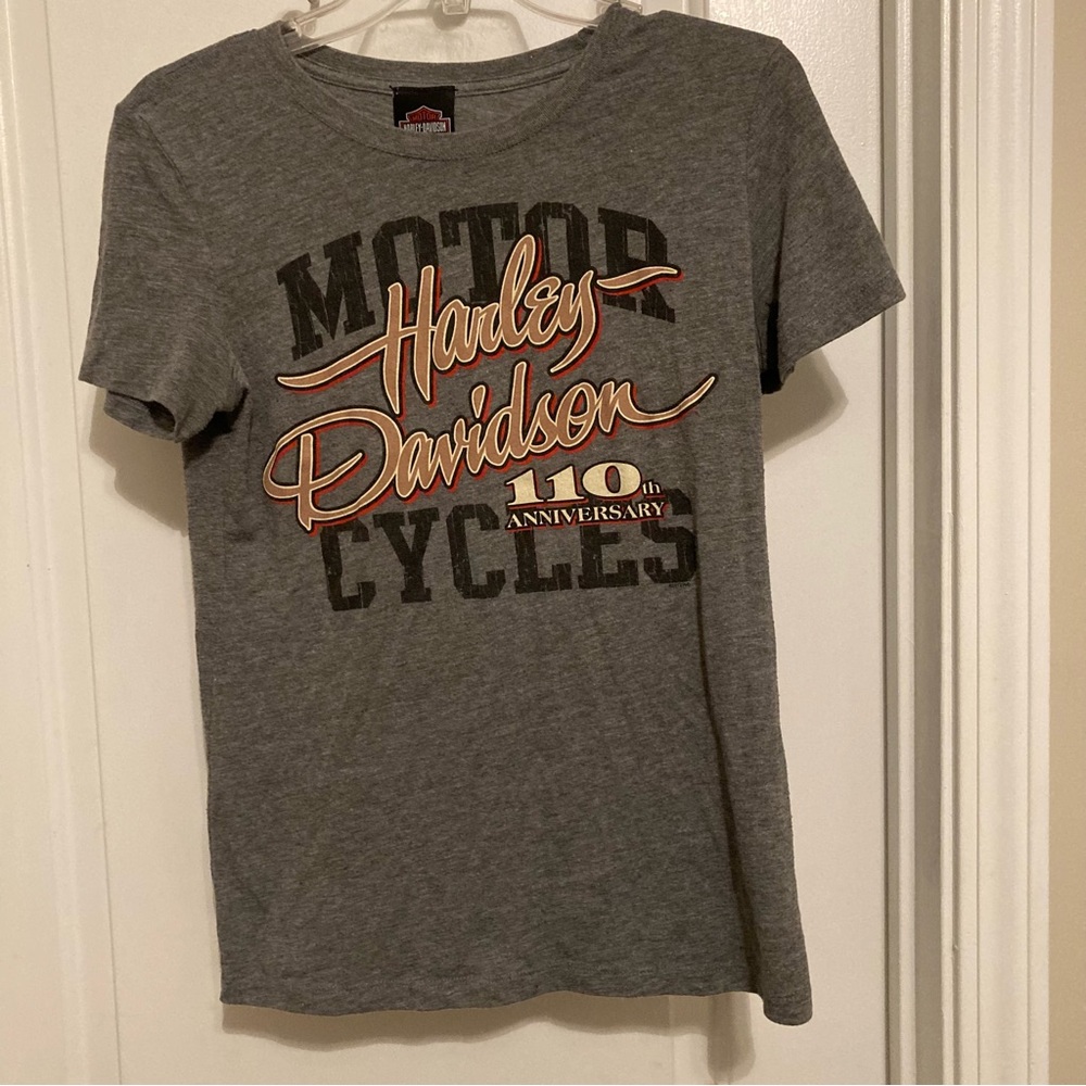 Harley-Davidson Chicago Gray 110 Years T-Shirt - Gem